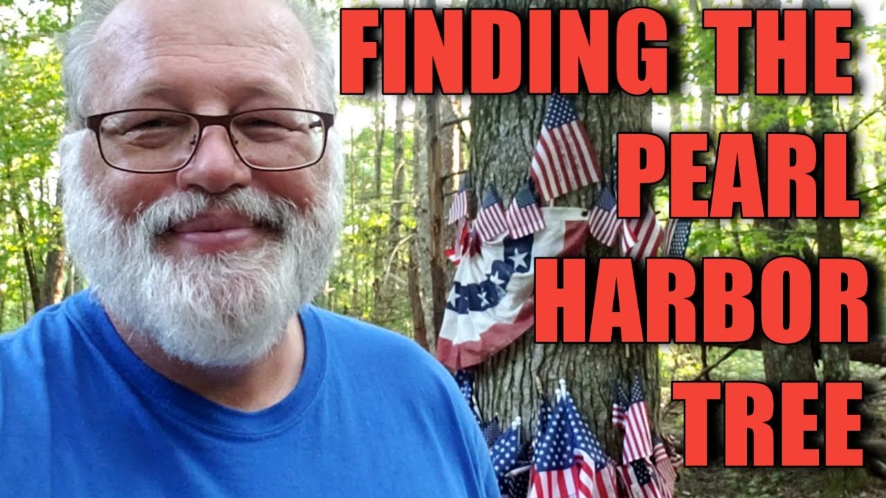 Finding The Pearl Harbor Tree - YouTube