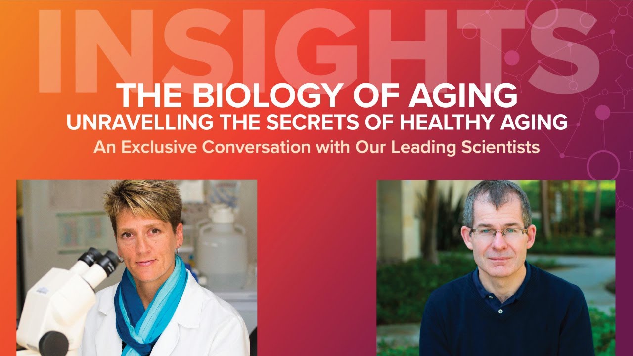 The biology of aging: Unravelling the secrets of healthy aging - YouTube