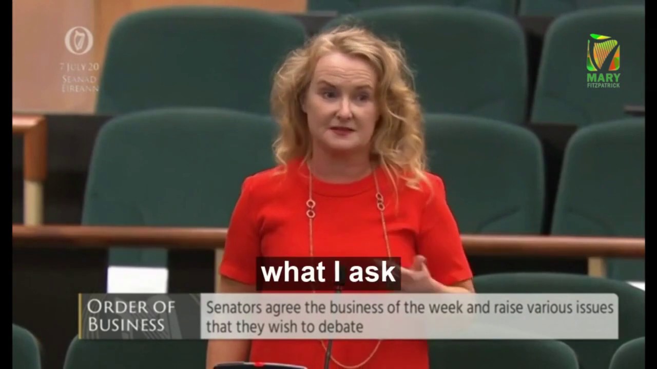 Mary Fitzpatrick Seanad 20200707 - YouTube