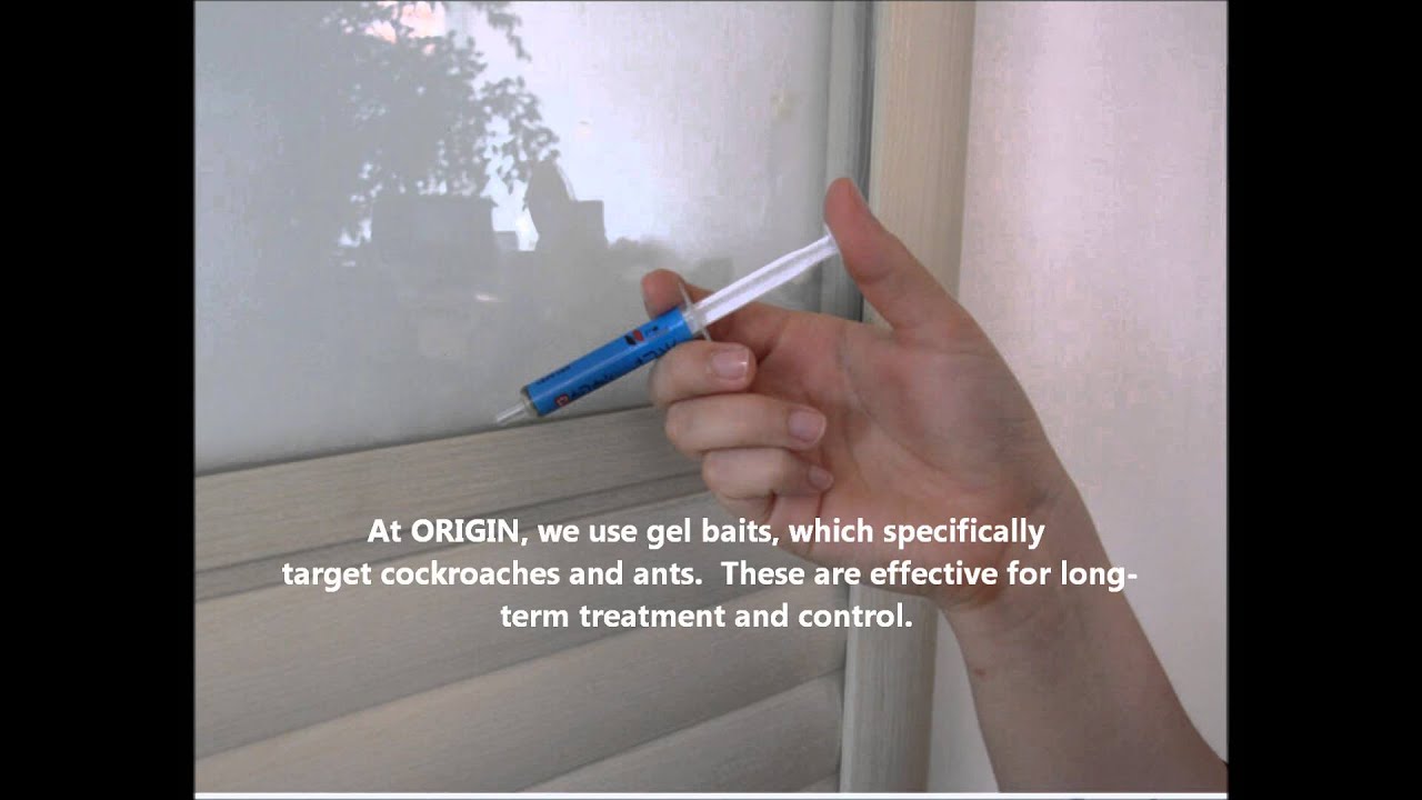 Effective Gel Baiting for Cockroaches & Ants by ORIGIN Exterminators ...