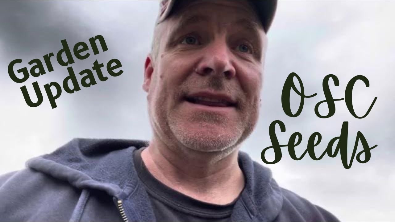 Garden Update !!!! Planted With OSC Seeds - YouTube