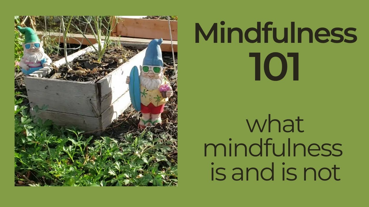 Mindfulness 101: What Mindfulness Is and Is Not - YouTube
