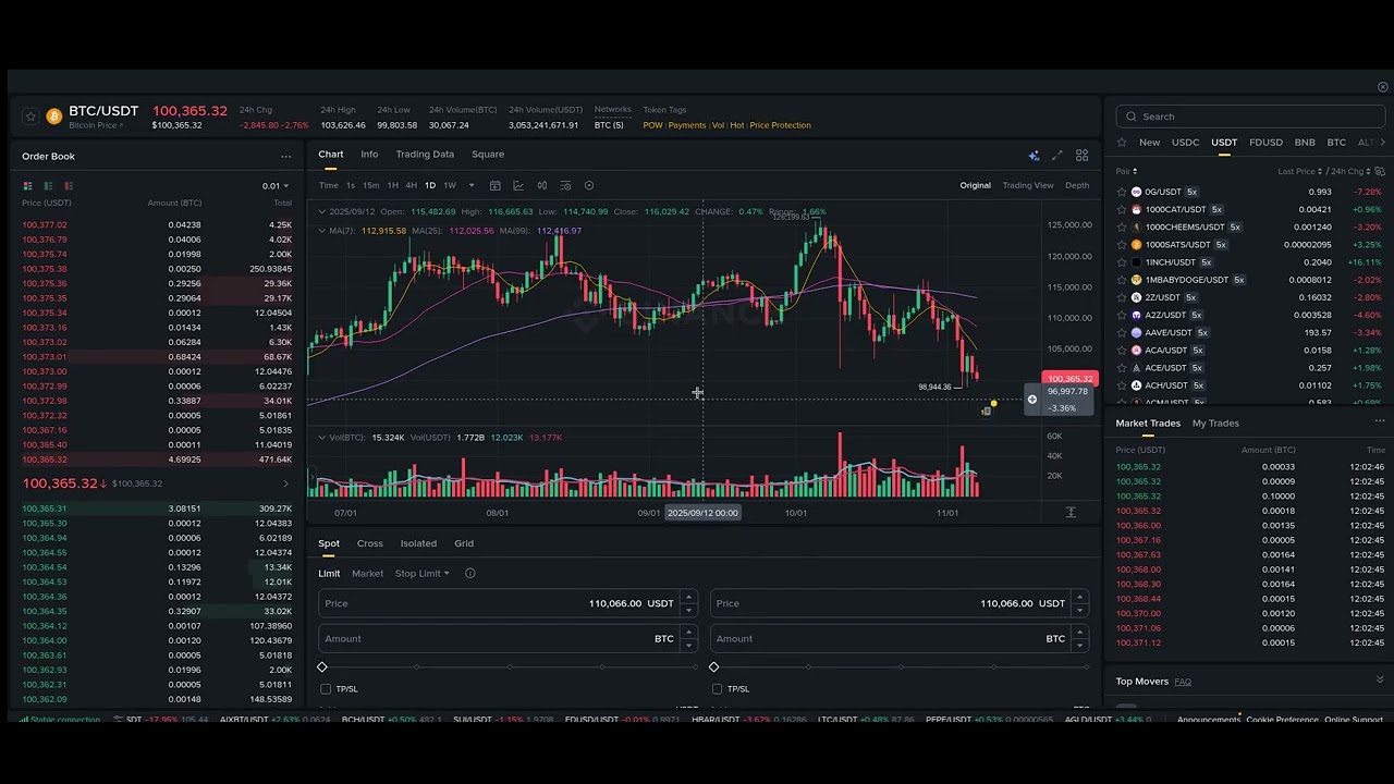 LIVE BTC/USDT CHART: Real-Time Bitcoin Price Tracker (Current Market ...