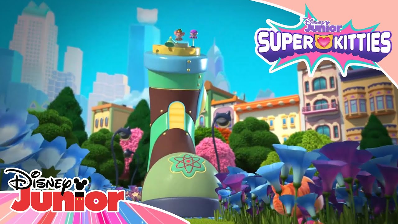 🥾 Co za but! | Superkoty | Disney Junior Polska - YouTube