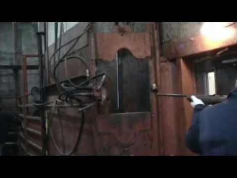 Horses: What Really Goes on Behind the Scenes