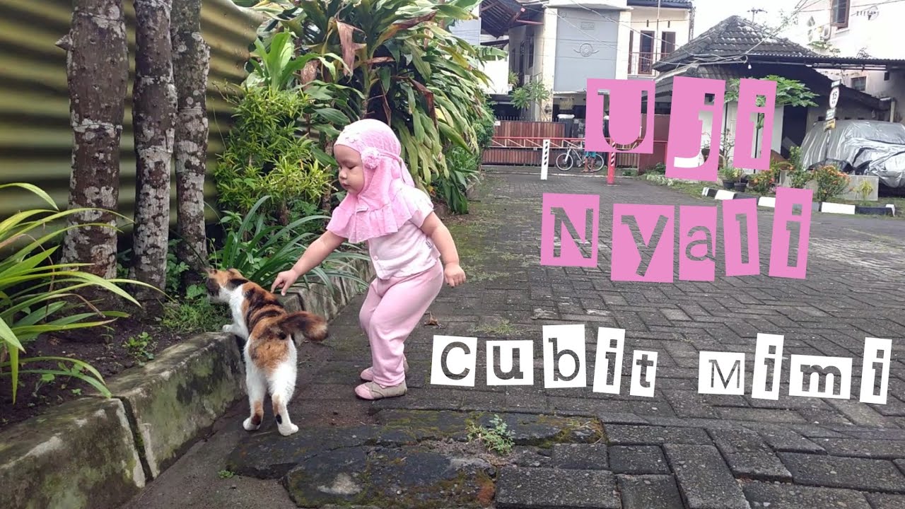 CUBIT GEMES KUCING ORANG #MainBarengAisy - YouTube