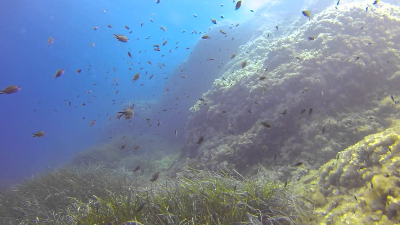Dive "grotta del polpo" Portpopalo di Capo Passero (Sicily-Italy) - YouTube
