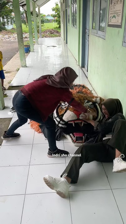 Dua cewek cantik kaget ada can macanan ‼️ - YouTube