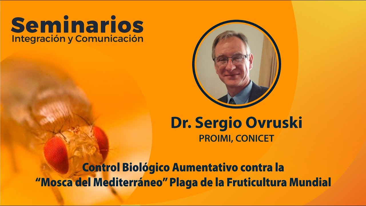 7º Seminario General INSIBIO 2021. Dr. Sergio Ovruski, PROIMI, CONICET ...