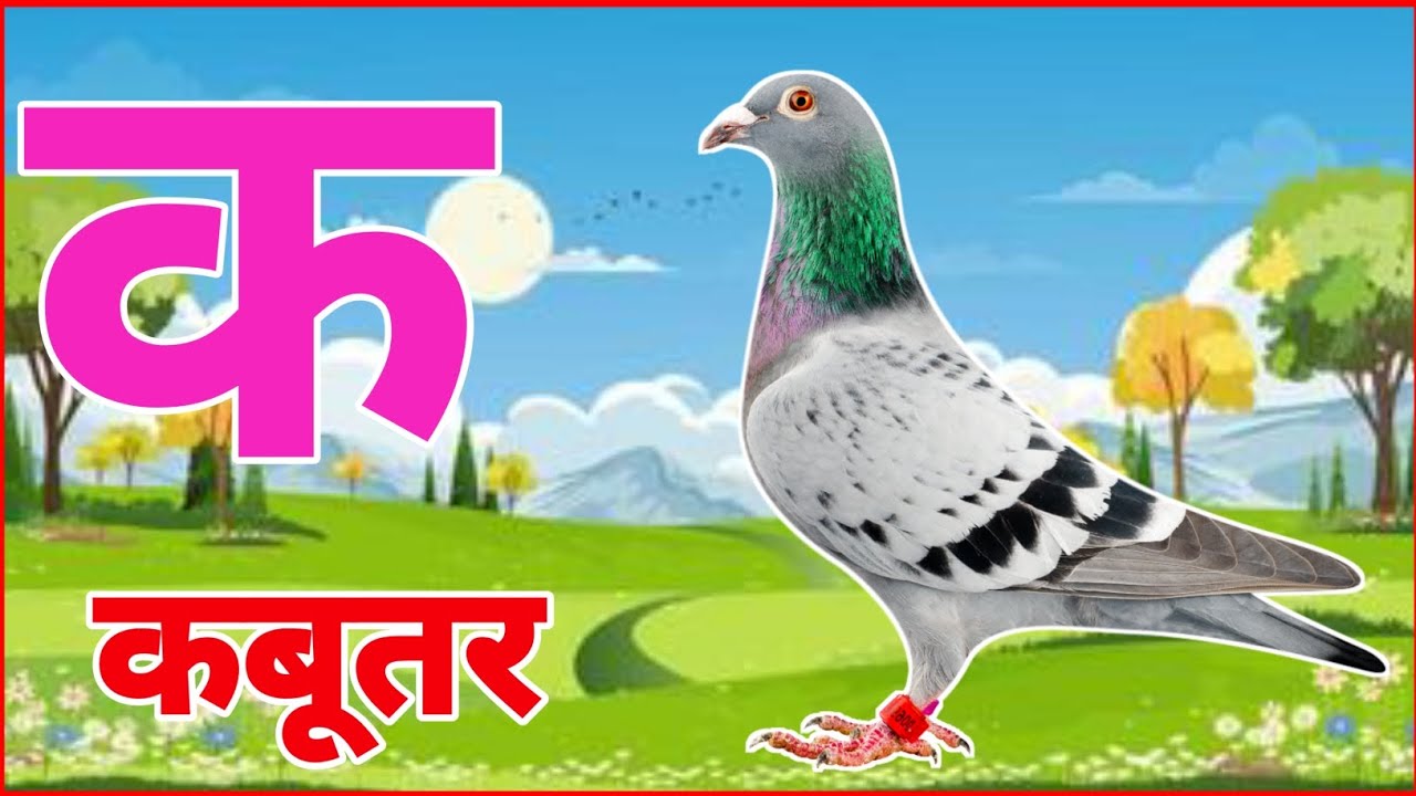 क से कबूतर ख से खरगोश K se kabootar Kh se khargosh || A for Apple ...