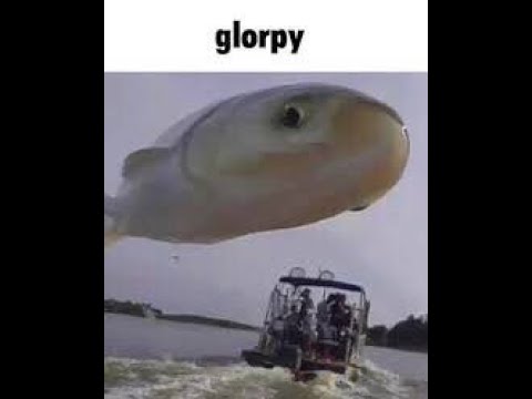 glorpy - YouTube