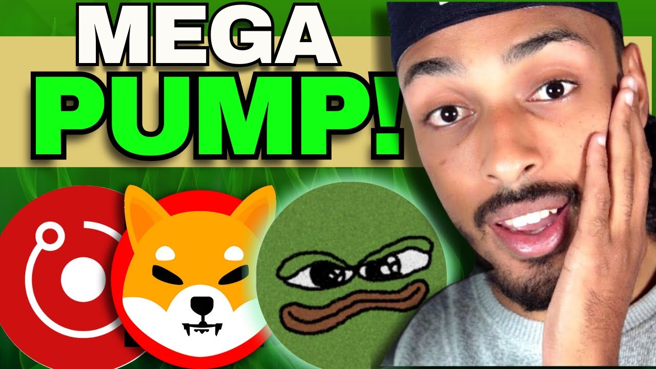 SUNDAY PUMP BABY!! SHIBA INU AND RNDR GO NUTS! BOOK OF MEME ($BOME ...