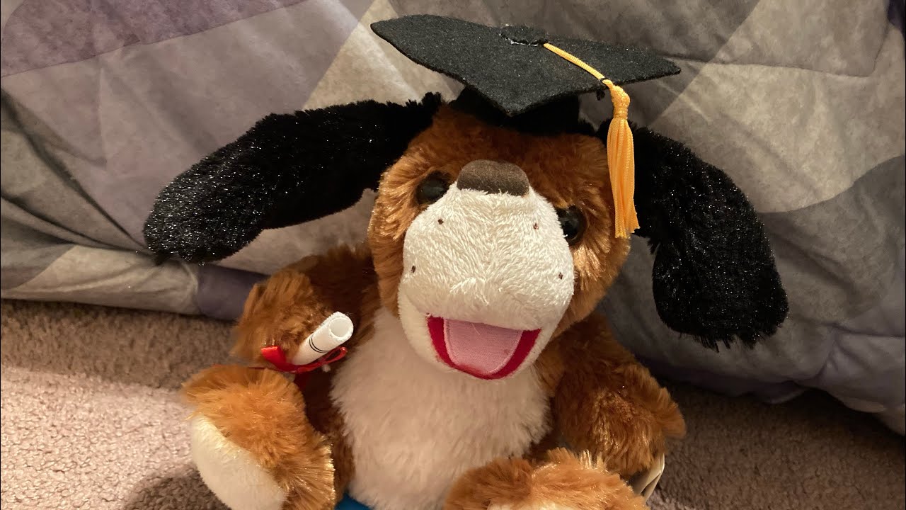 DanDee - Ear Flapping Graduation Dog “Celebration” - YouTube
