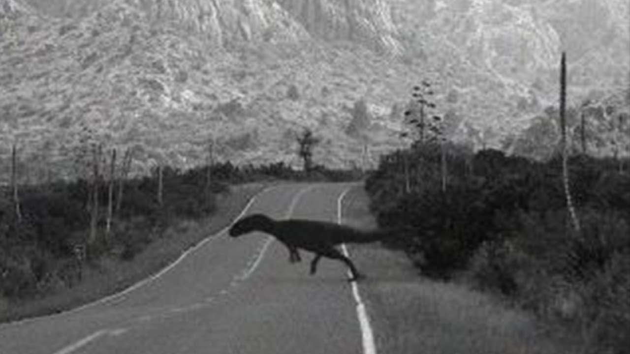 Horrifying Cryptids That Actually Exist - YouTube