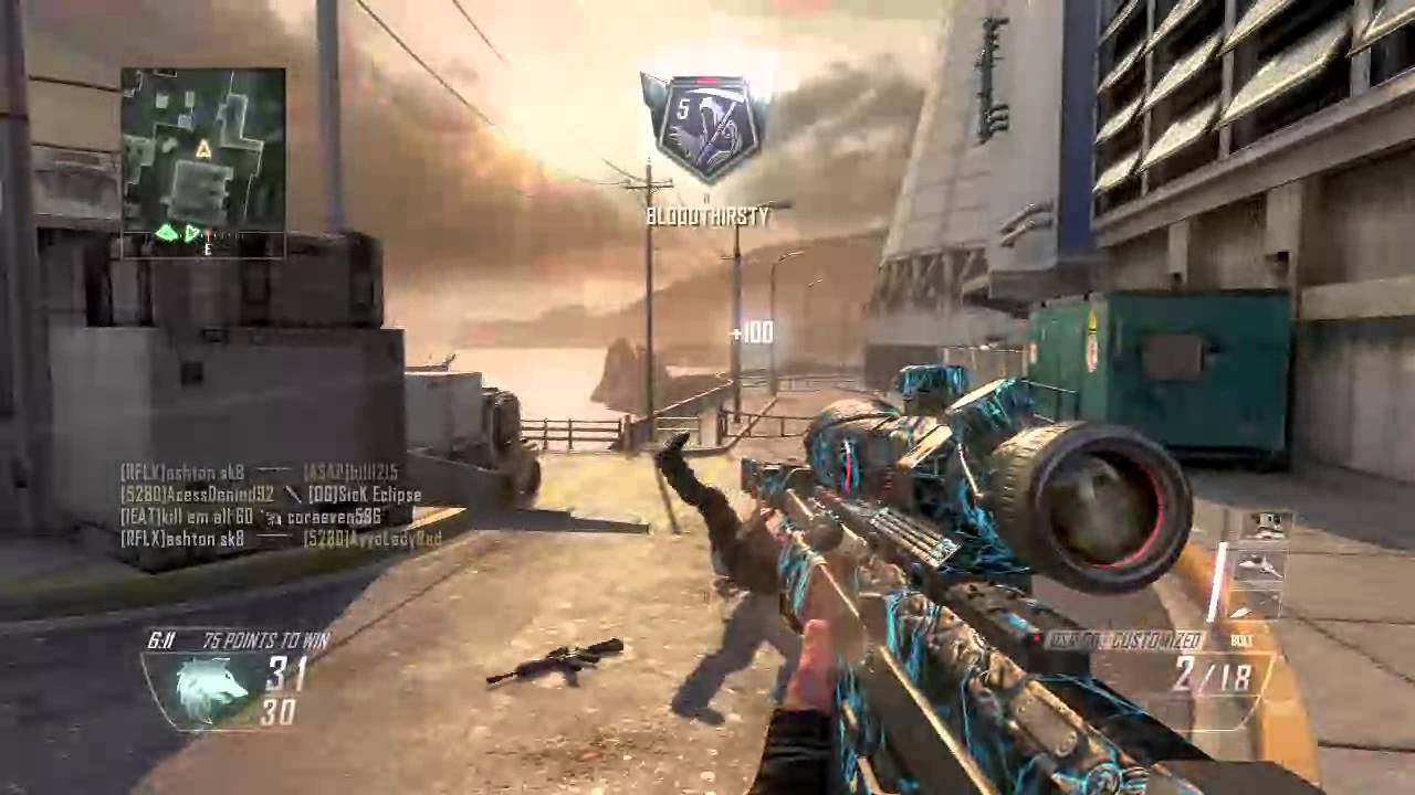 Reflex Illusion BO2 Dsr Gameplay - YouTube