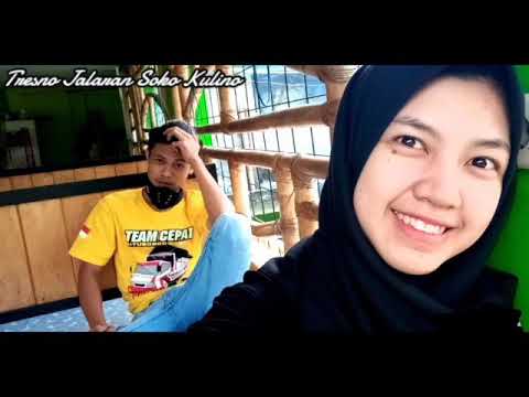 STORY WA OJO NESU-NESU TERBARU - YouTube