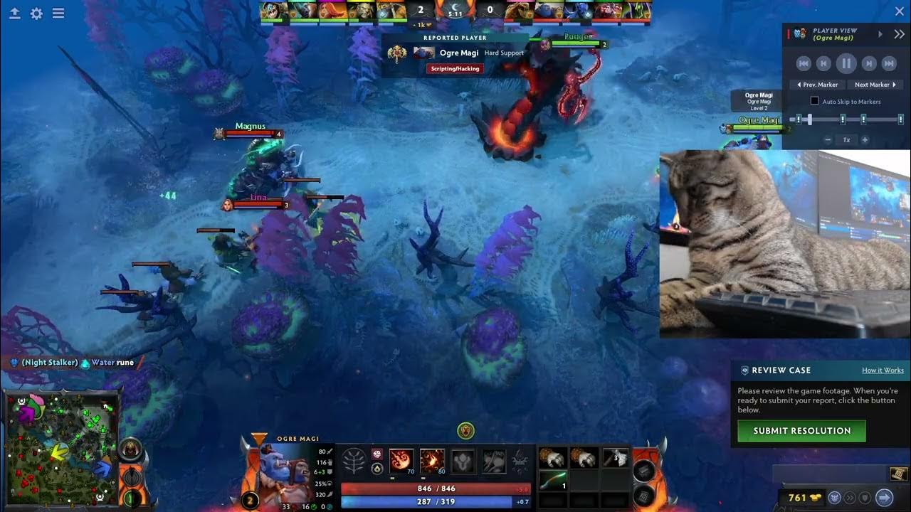 Scripting/hacking Ogre Magi, but my cats distract me instead!? | Dota 2 Reporter Man - YouTube