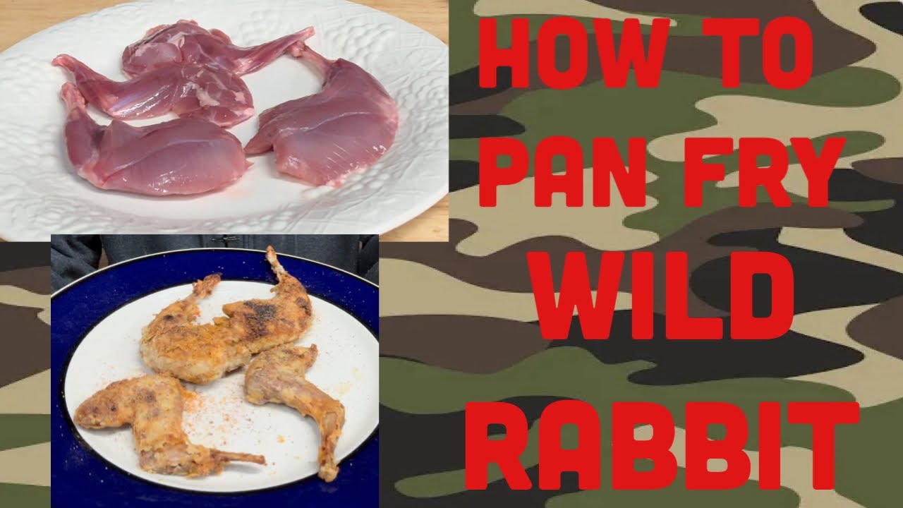 How to pan fry wild rabbit to perfection - YouTube