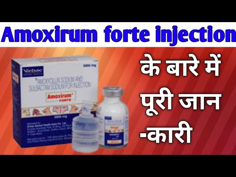 Amoxirum forte injection full review | Amoxycillin sodium and sulbactam ...