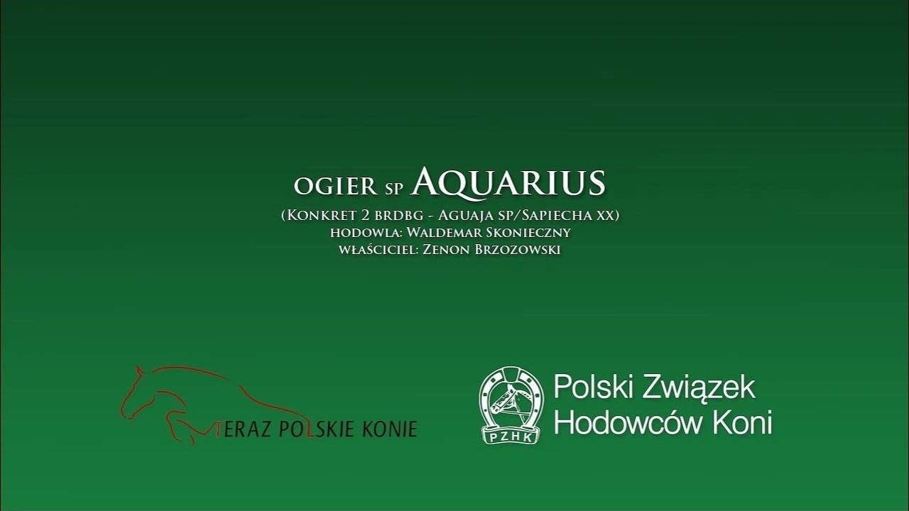 Ogier Aquarius sp - YouTube