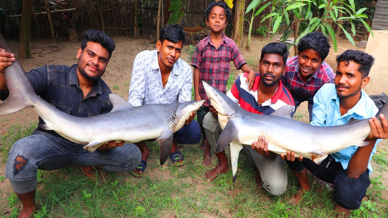 2 BIG SHARK FISH COOKING AND EATING | GIANT SHARK FISH CUTTING SKILL ...