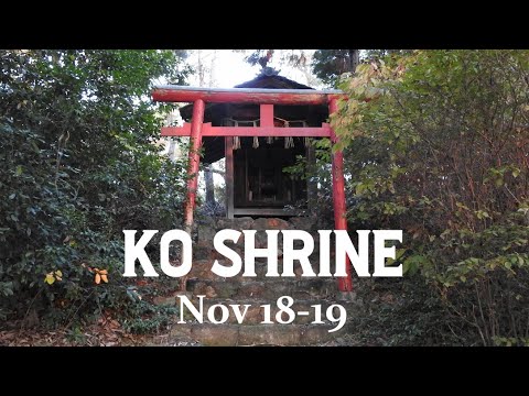 Ko Shrine 18-19 Nov 2022 ヒバゴン Hibagon: Japanese Bigfoot - YouTube