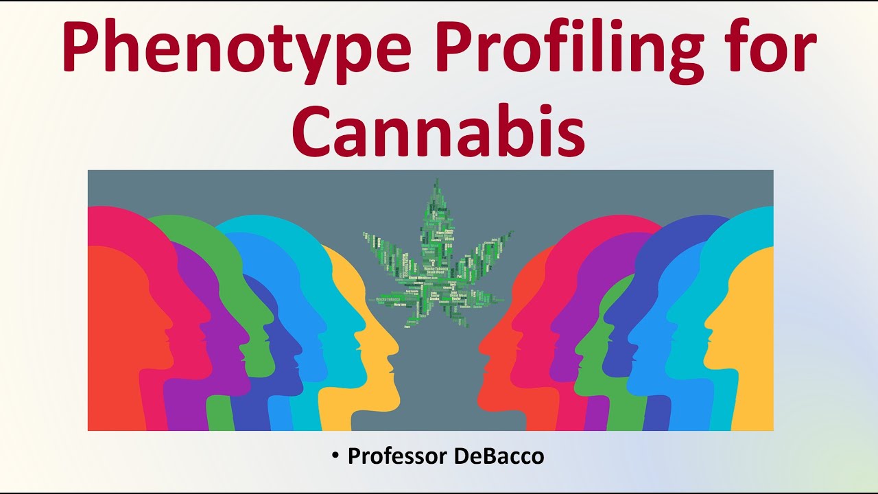 Phenotype Profiling for Cannabis - YouTube