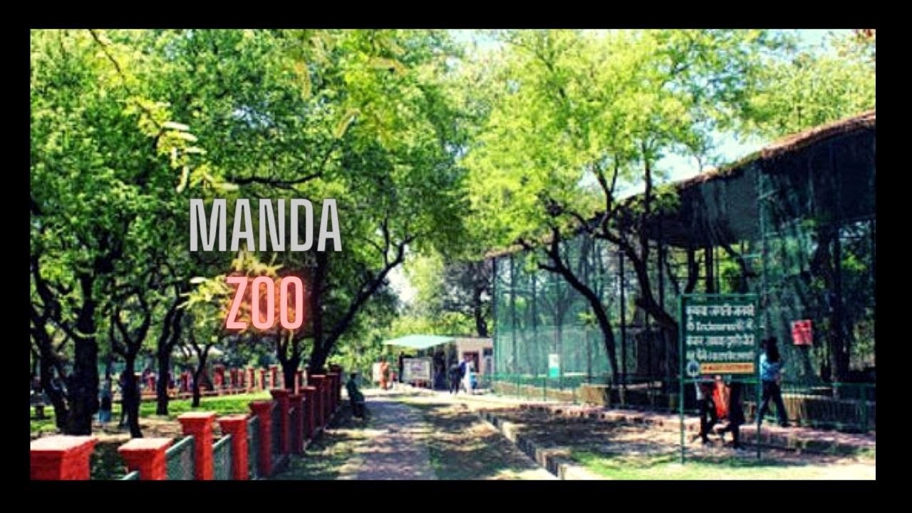Full vlog on Manda Zoo || travel || jammu tour || National park #travel ...