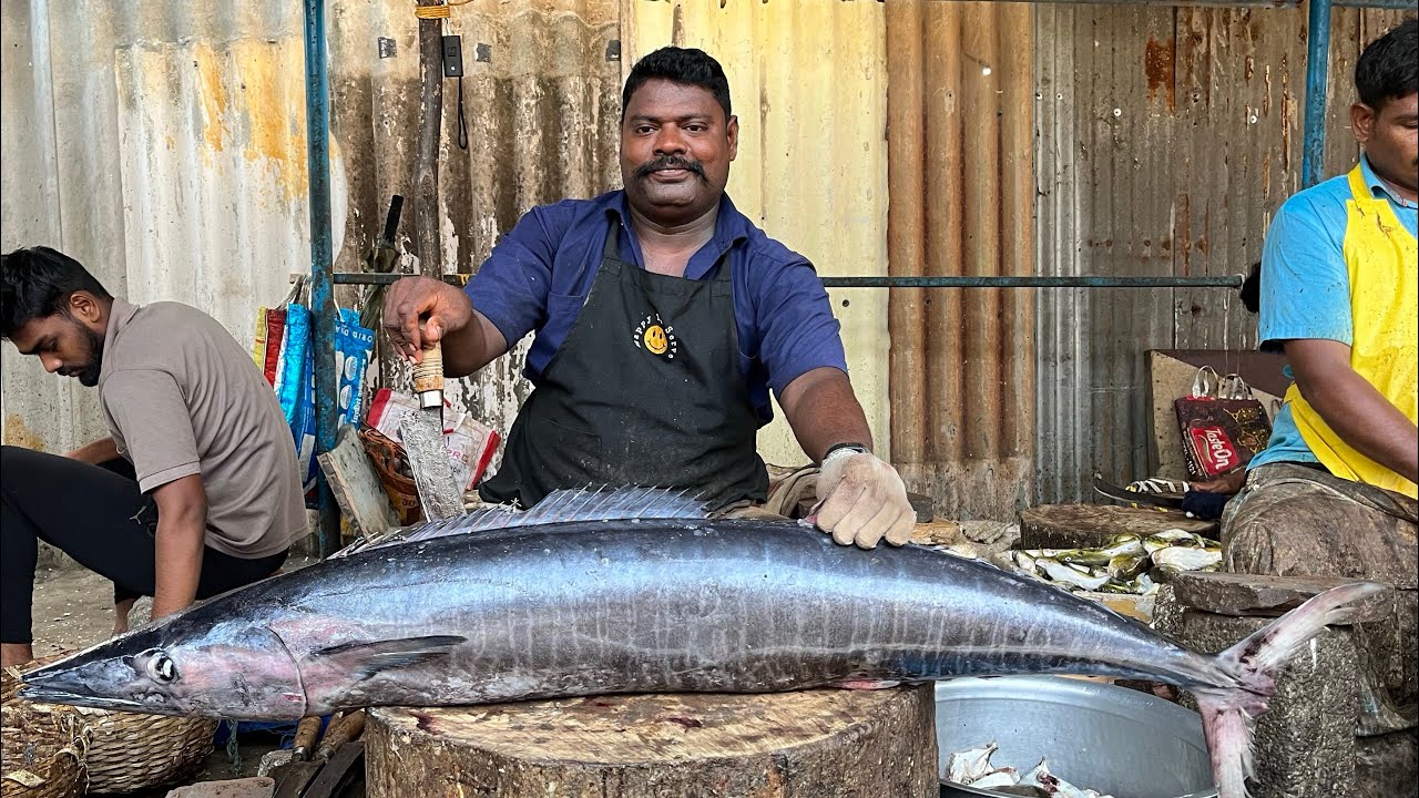 RANGOON MAVULASI FISH AMAZING CUTTING BY SPEED SELVAM ⚔️🔥 - YouTube