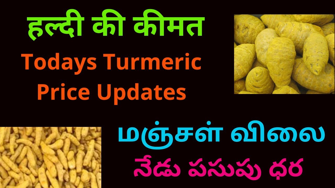 Turmeric Rate Per Quintal | పసుపు ధర | Turmeric Price At Duggirala ...