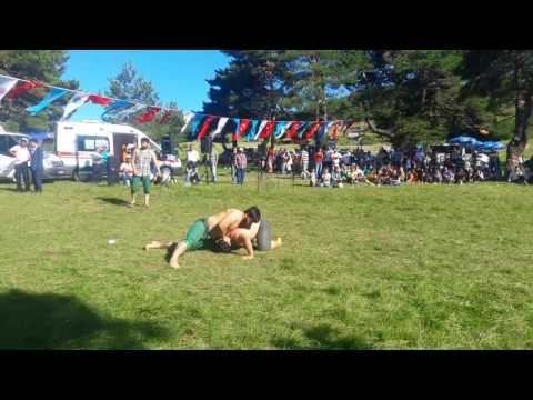 Bas koy festival