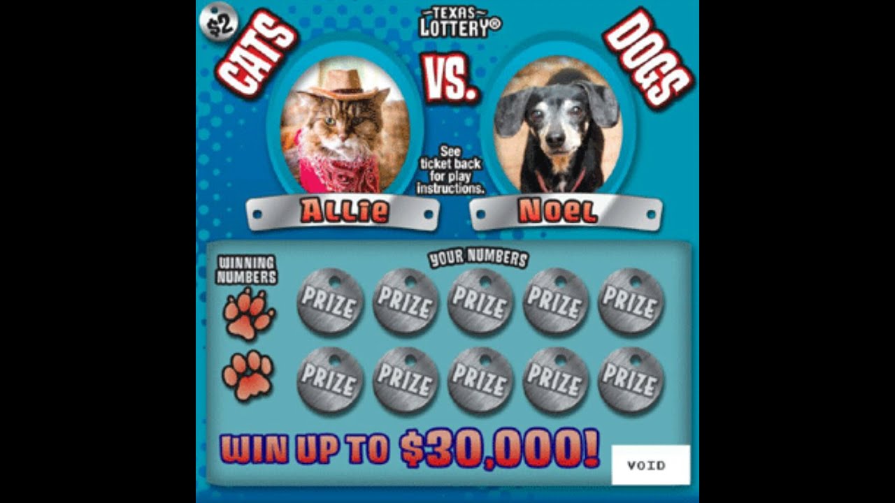$2 Dogs vs Cats Texas Lottery Scratch Off Ticket - YouTube