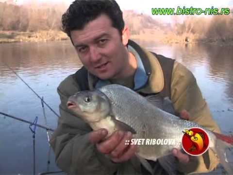Svet Ribolova - Mramor, deverika na feeder - YouTube