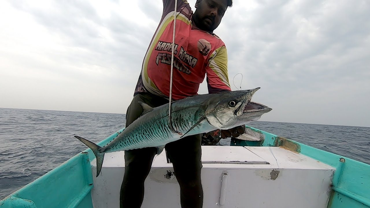Monster Kingfish catching in deep sea - YouTube