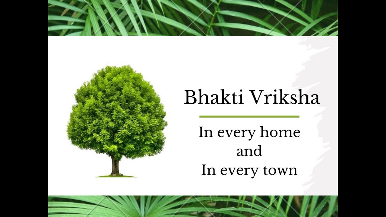 Devotional tree / Bhakti vriksha for new members | ISKCON CDM ...