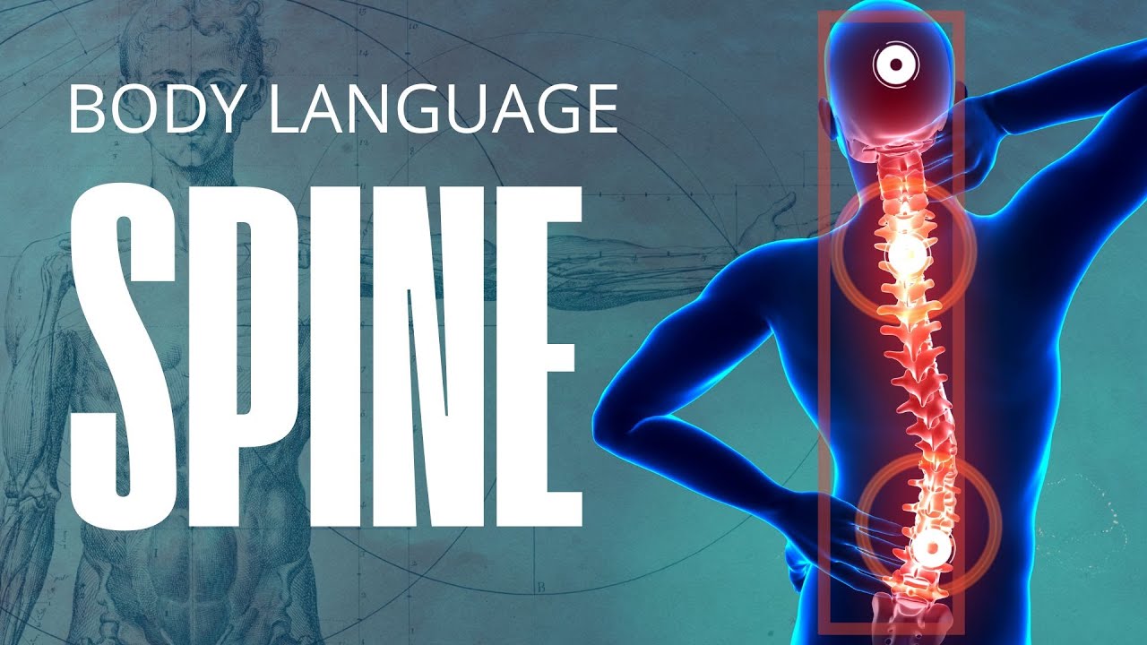 YOUR SPINE IS TALKING TO YOU! What It Reveals About Your Life ...