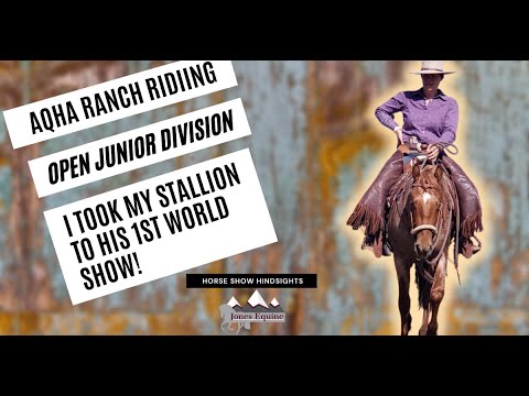 AQHA Versatility Ranch Horse World Show Ranch Riding - YouTube