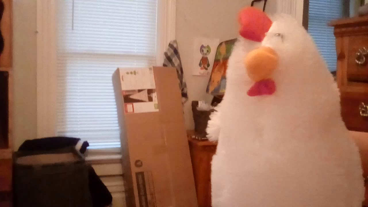 Bob the chicken 🐔 - YouTube