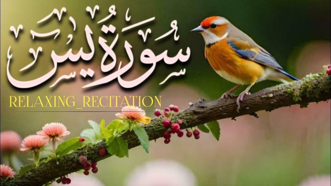 Surah Yaseen | Beautiful Yaseen Shareef | By Razaul Qadri | Full With ...