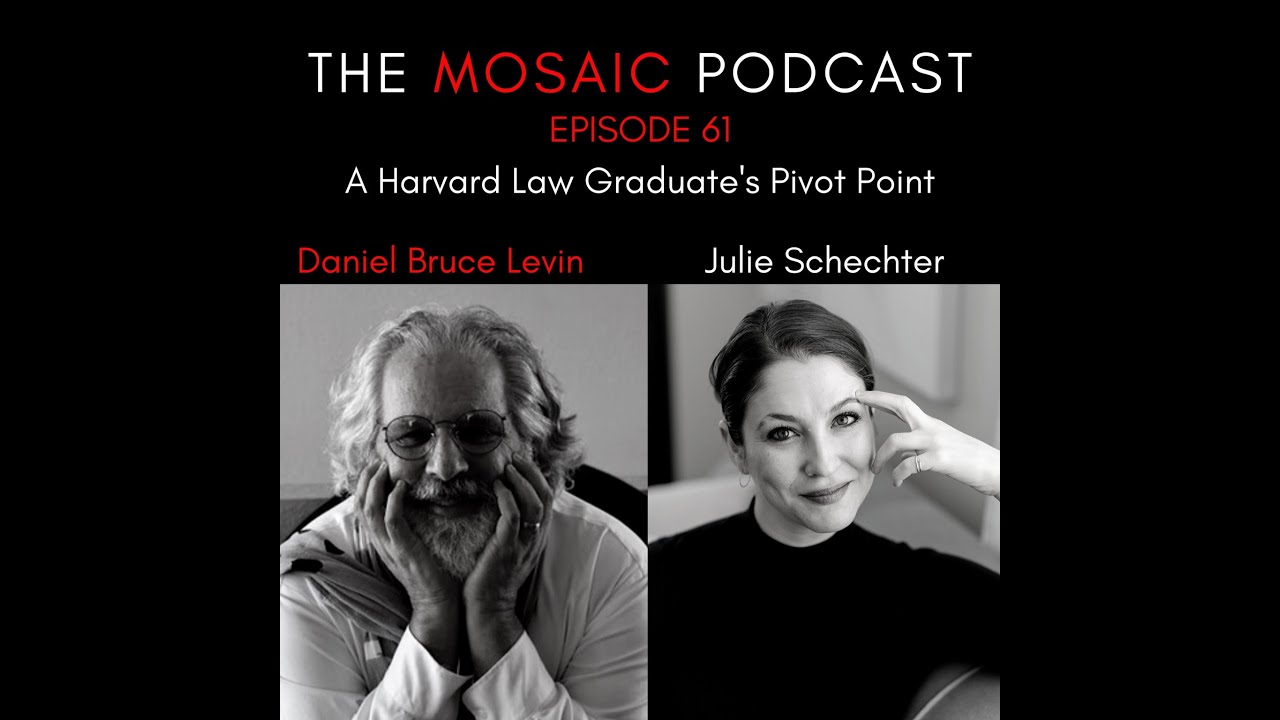 Ep 061 A Harvard Law Graduate’s Pivot Point with Julie Schechter - YouTube