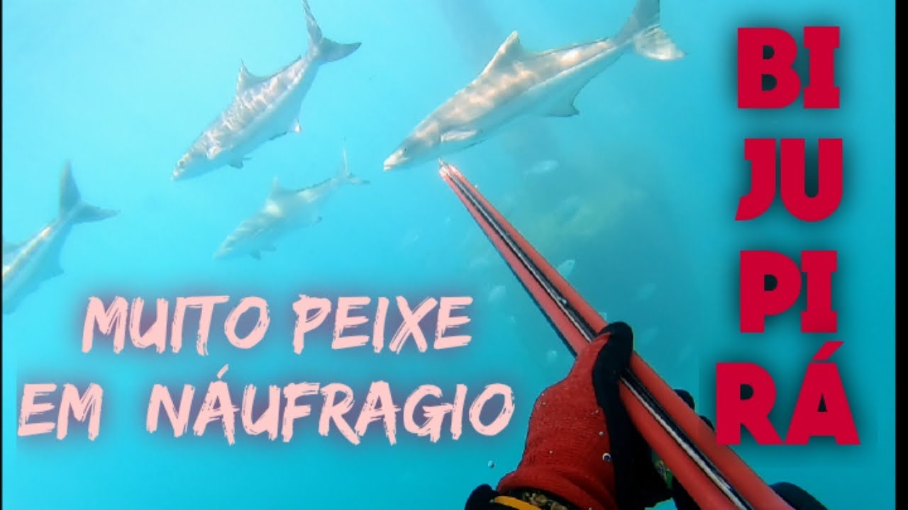 PESCA SUB EM BÚZIOS, MUITO PEIXE NOS NAUFRÁGIOS DA REGIÃO!!! - YouTube