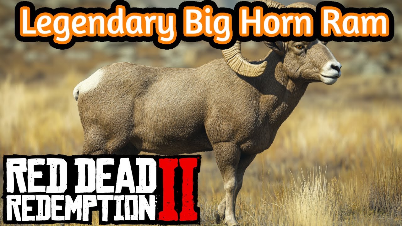 Red Dead Redemption 2 - Legendary Big Horn Ram - YouTube