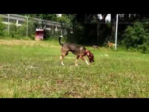 Lenny - jung & aktiv - sucht sportliche Menschen