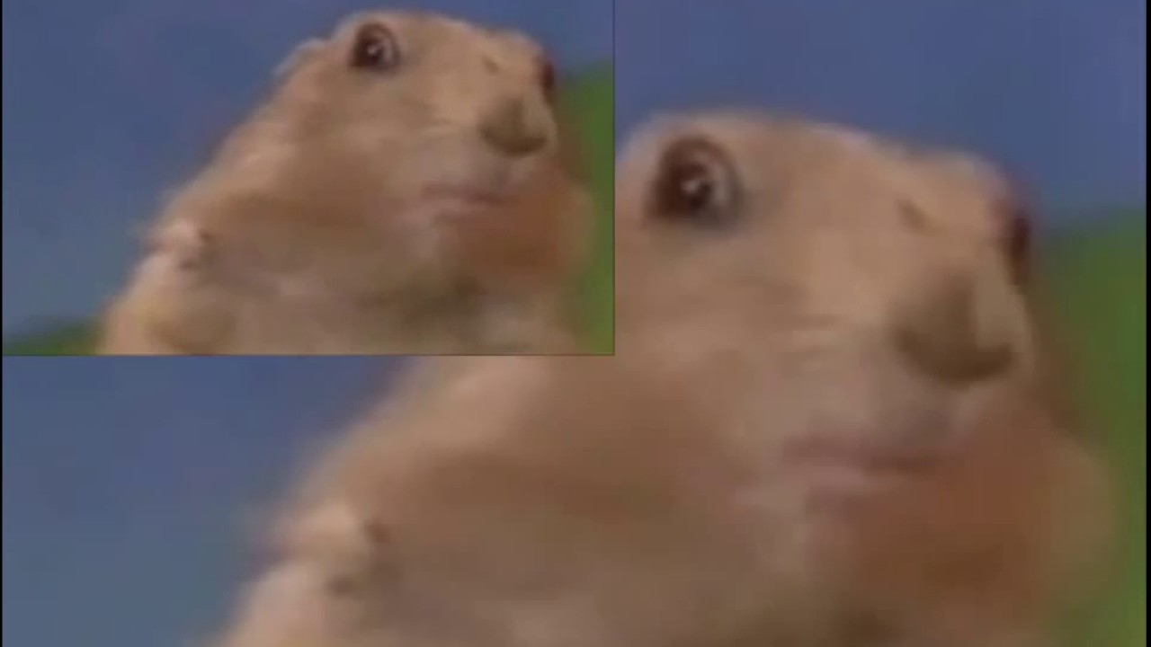 probably the best dramatic chipmunk sparta remix on youtube HD - YouTube