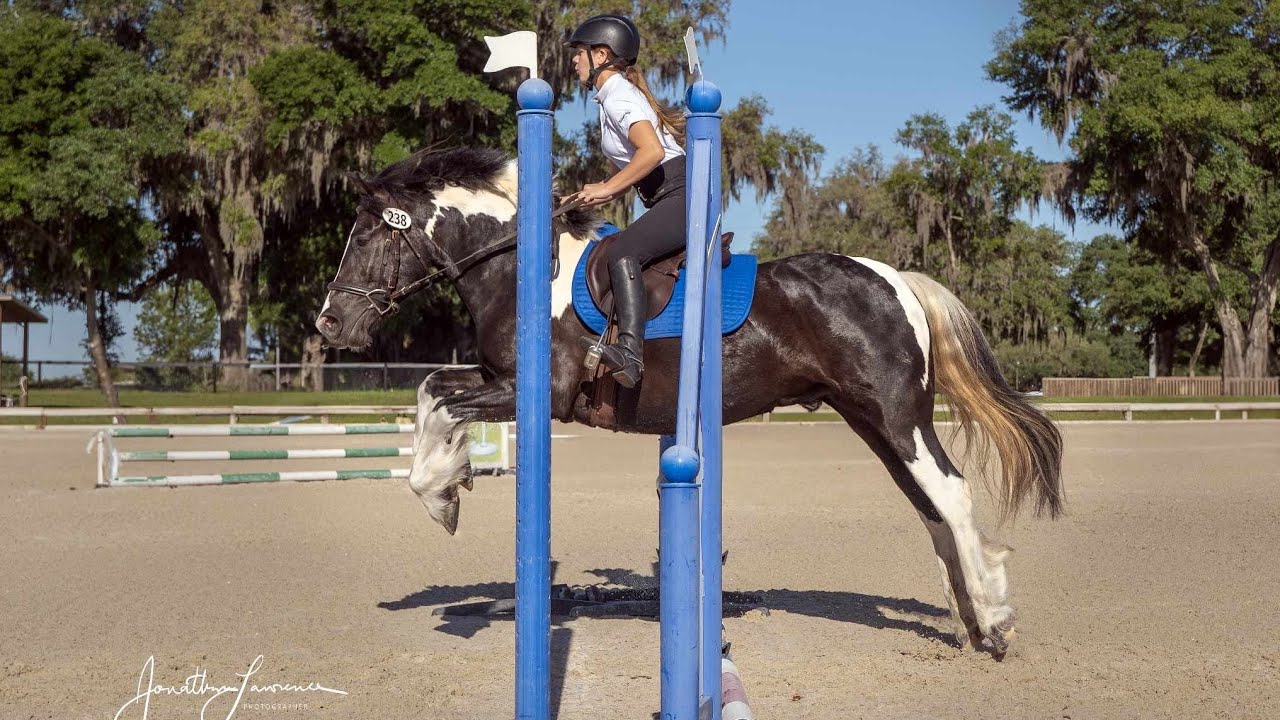 Large Pony Duke - YouTube