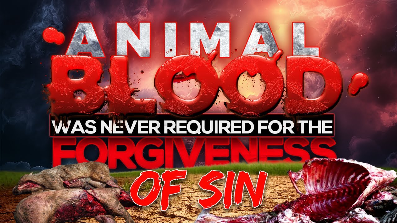 God NEVER Required The BLOOD Of ANIMALS For The Forgiveness Of SIN ...