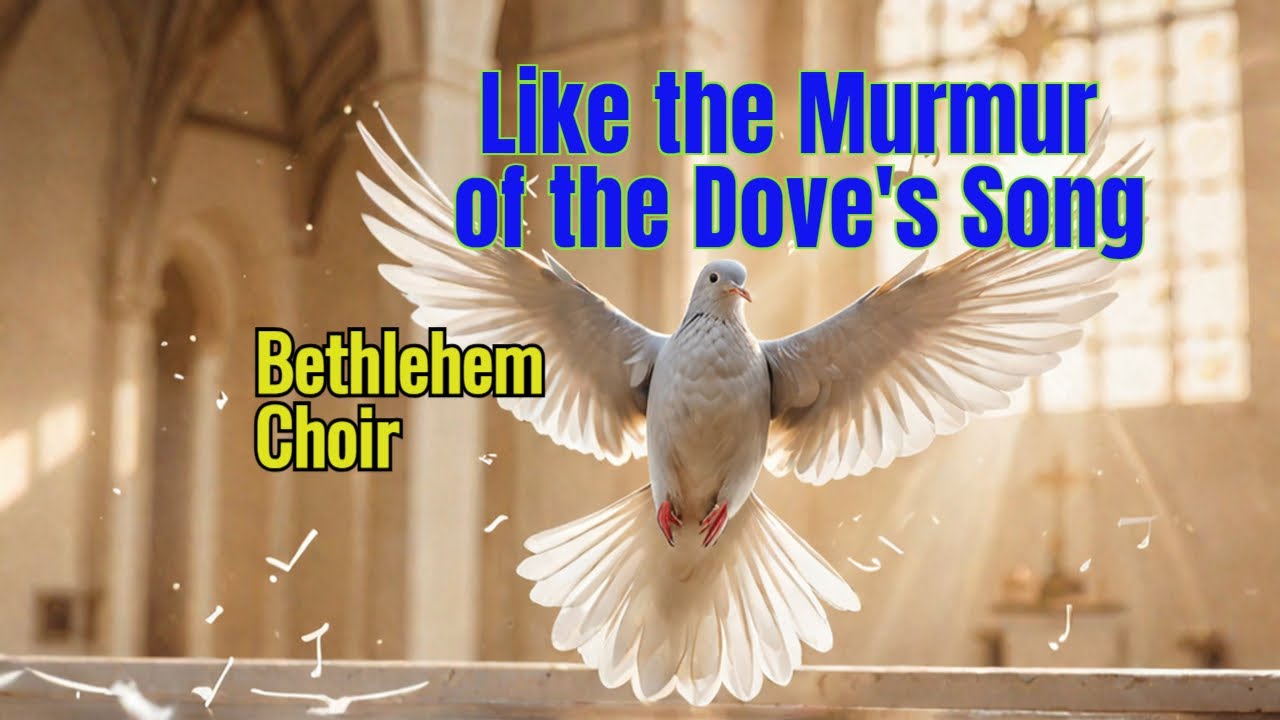 👉Like the Murmur of the Dove's Song - YouTube