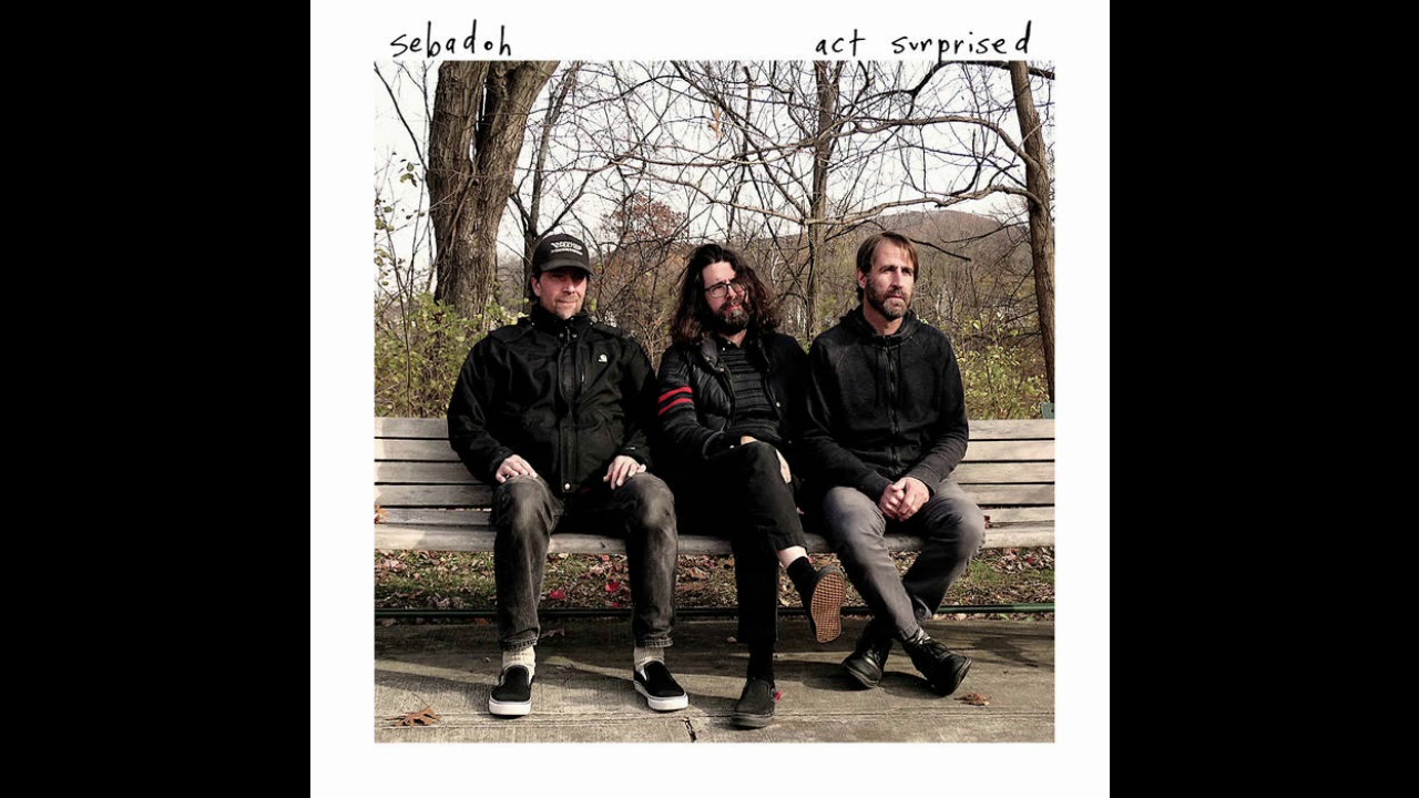 Sebadoh - Act Surprised (Full Album)