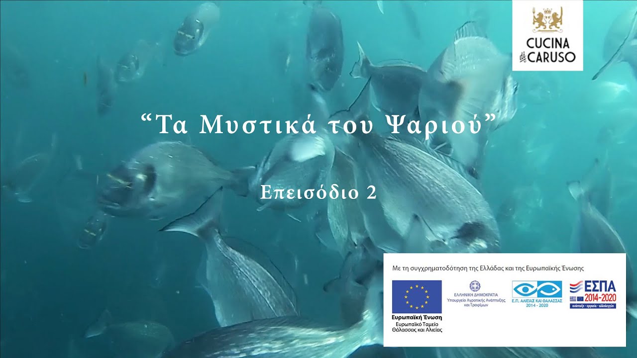 Τα Μυστικά του Ψαριού - Επεισόδιο 2 - YouTube