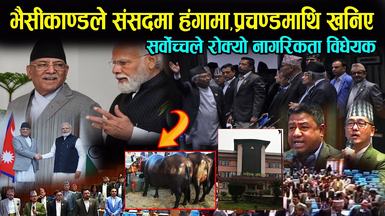 भैंसीकाण्डले संसदमा हँगामा, प्रचण्डले माफी माग्नुपर्ने भन्दै यस्तोसम्म ...